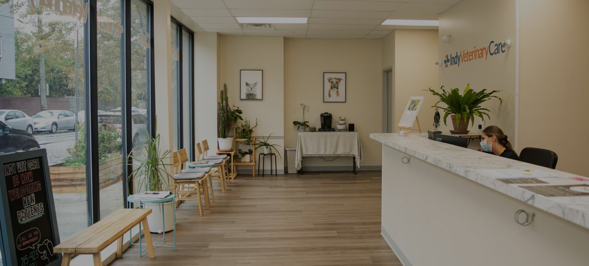 Indy Veterinary Care | Northen Liberties, Fishtown, South St, Kensington